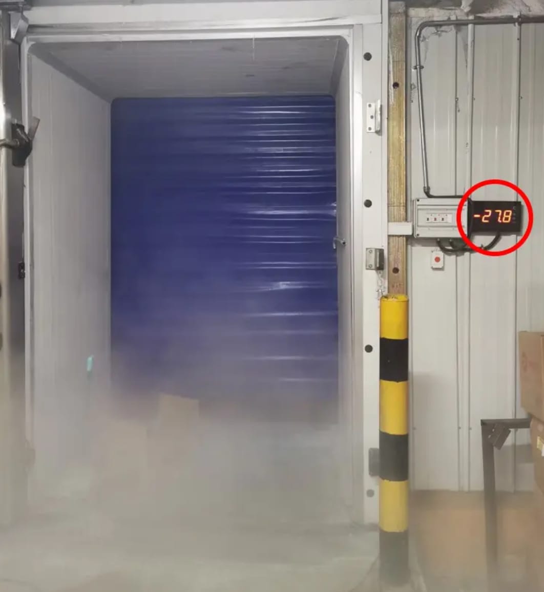 Cold Room Rapid Door – Autodoorgate.co.id